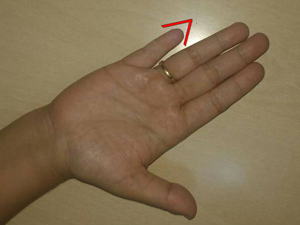 Samudrik Shastra: হাতের আঙুলের গঠন এরকম হলে সেই মেয়েরা স্বামীর জন্য ...